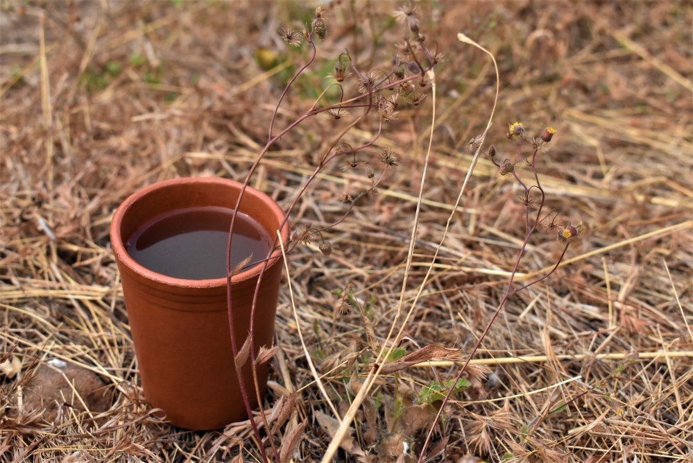 Recipe for Kada: a healthy and herbal Indian tea – People I Meet and ...