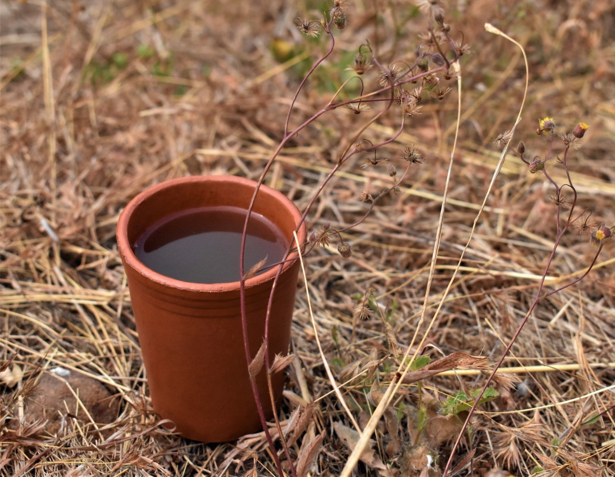Recipe for Kada: a healthy and herbal Indian tea – People I Meet and ...